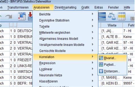 Korrelation Spss Novustat Statistik Beratung