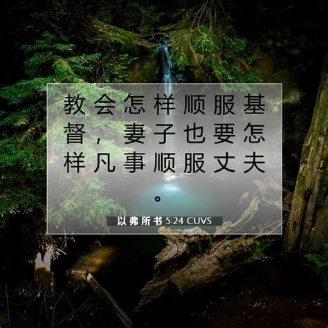 以 弗 所 书 5 24 圣经经文含义 教 会 怎 样 顺 服 基 督 ， 妻 子 也 要 怎 样 凡 事 顺 服 丈 夫