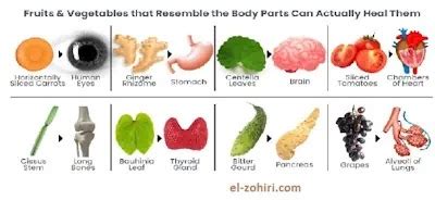 Secrets Of Vegetable Growing Fruits That Resemble Human Body Parts Are