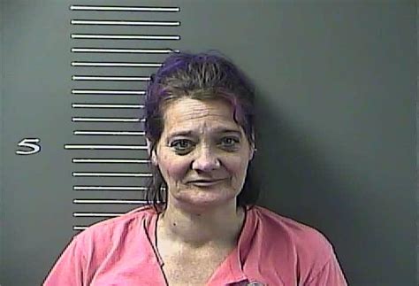 Mary Ayers Big Sandy Area Mugshots News