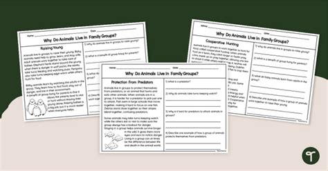 Equal Groups Teach Starter