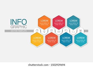 Vector Horizontal Infographic Diagram Template Business Stock Vector