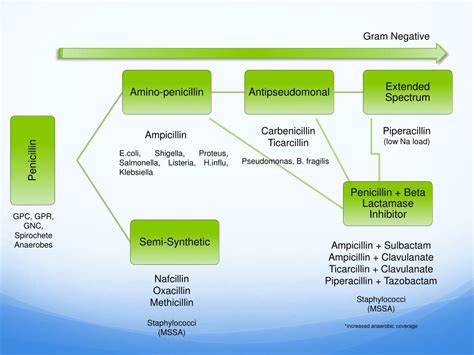 Ppt Practical Usage Of Antibacterial Agents Powerpoint Presentation