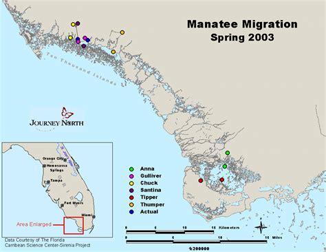 Journey North Manatee Spring 2003