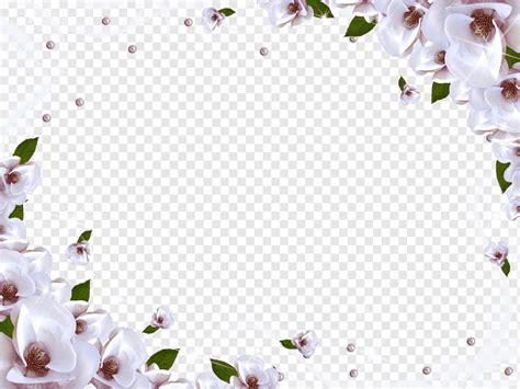 Flower White Flower Frame White Image File Formats Ring Png Pngwing