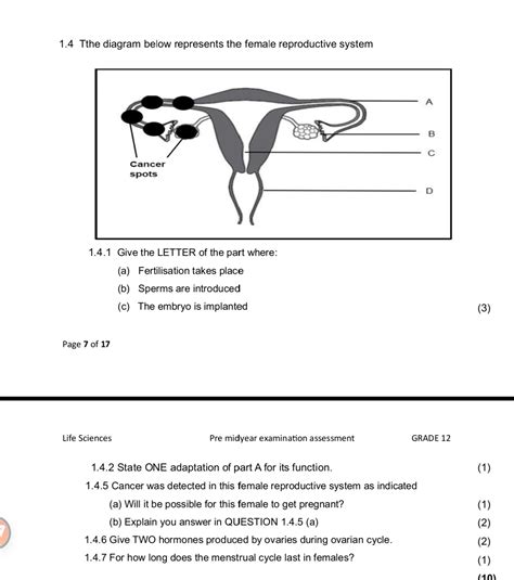 14 The Diagram Below Represents The Female Reproductive System 141 Gi