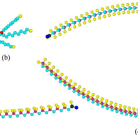 Molecular Structures Of A Decene Trimer B Decene Tetramer C