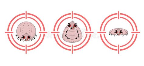 Tick Warning Sign Pest Control Ixodid Ticks Stock Vector