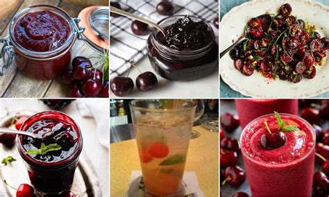 18 Delicious Wild Black Cherry Sweet And Savory Recipes