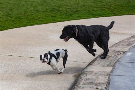 The Yield Curve Is Steepening Spx Seeking Alpha