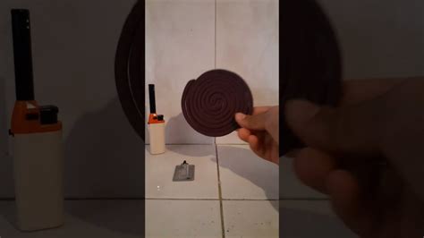 ¡aprende Cómo Usar Raid Raidolitos Para Controlar Plagas En Tu Jardín