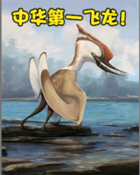 中华飞龙——准噶尔翼龙 知乎