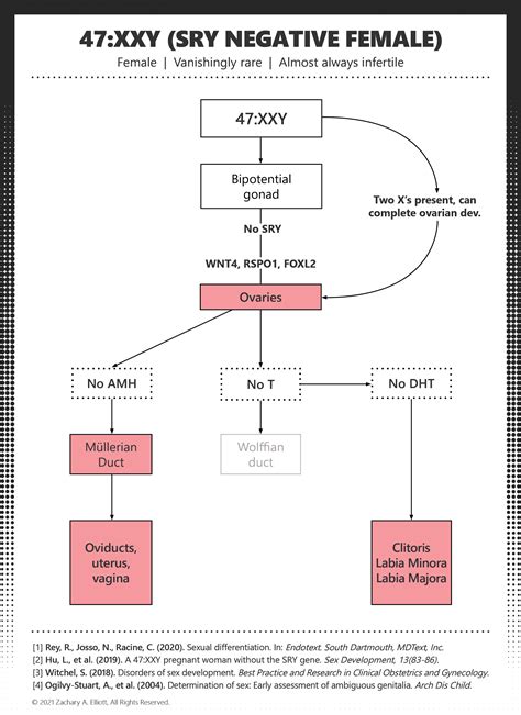 Defining Vs Determining Sex — Paradox Institute