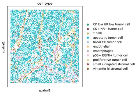 Analyze Imaging Mass Cytometry Data — Squidpy Documentation
