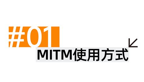 不夸张，mitm真是网安人的神器 Yak Program Language