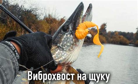 Виброхвосты на щуку: техника ловли и 10 лучших приманок