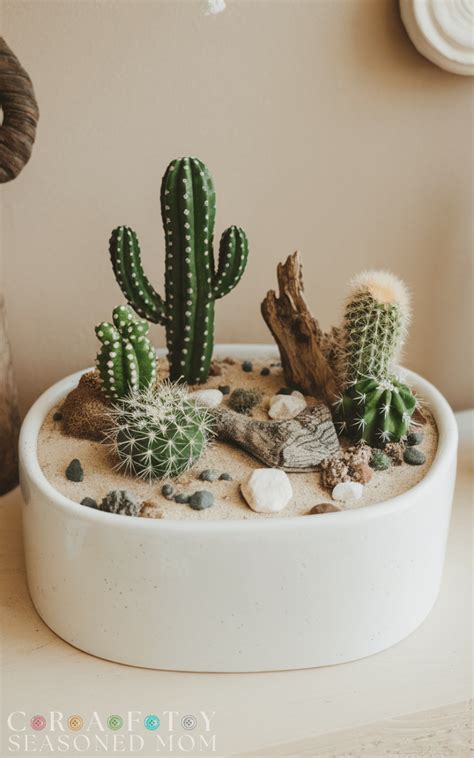17 Best Mini Cactus Garden Ideas Crafty Seasoned Mom