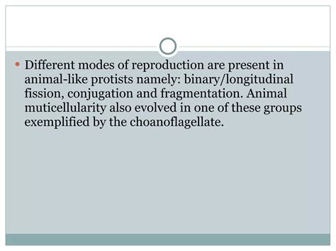 Animal Like Protists Ppt