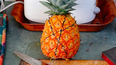 The Fibonacci Numbers Found In Bees General Bee Chat Flow Forum