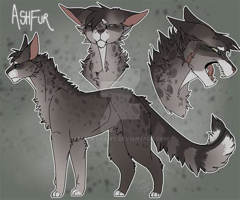 Ashfur~ Warrior Cats Au Design By Toma Draws On Deviantart
