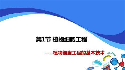 211植物细胞工程的基本技术课件（共47张ppt）人教版（2019）选择性必修321世纪教育网 二一教育