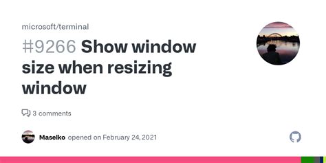 Show Window Size When Resizing Window · Issue 9266 · Microsoftterminal · Github