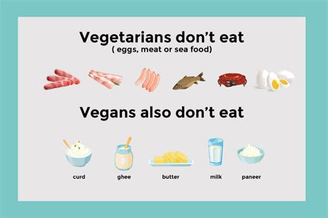 Veganism Explained India Nourish You