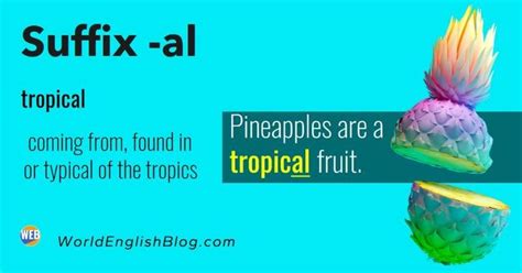 How Do You Use The Suffix Al Examples Free Pdf Video Nouns And