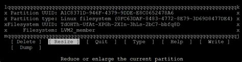 Expanding Disk On Ubuntu Virtualcenter Blog