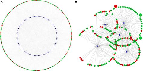 Frontiers Microarray Meta Analysis Reveals Il6 And P38β Mapk11 As Potential Targets Of Hsa Mir