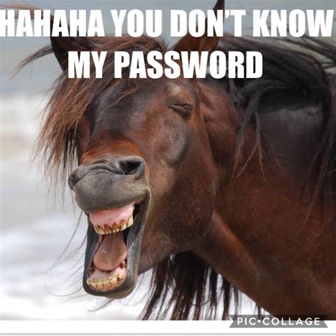 Haha You Dont Know My Password Wallpapers Top Free Haha You Dont