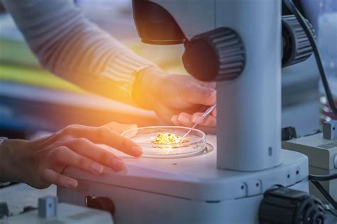 Analytical Facility Mukhtar Feeds