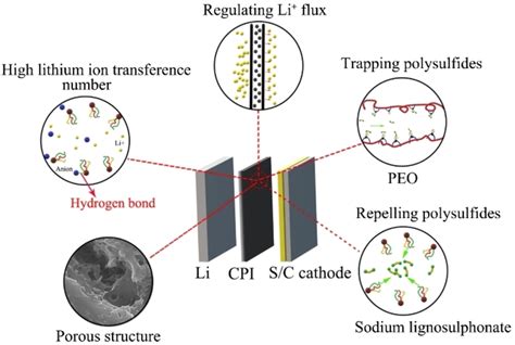 Illustration Of The Composite Interlayer Function In Li−s Batteries Download Scientific Diagram