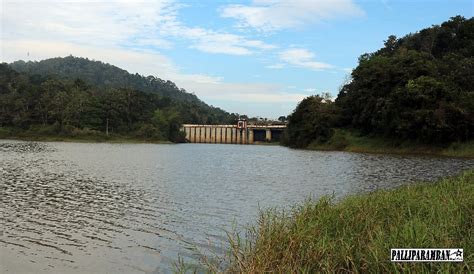 Erattayar North Dam All You Need To Know Before You Go 2025