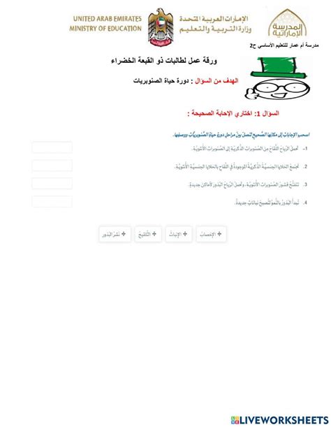 دورة حياة الصنوبريات 2 Worksheet Live Worksheets