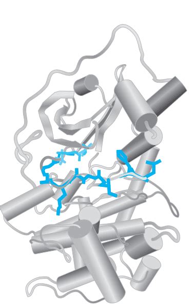 Transcriptomics Definition Types Techniques Applications Bioteck Ink