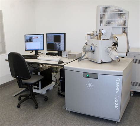 U28 E08 Fei Quanta 250 Feg Scanning Electron Microscope Esem Mode