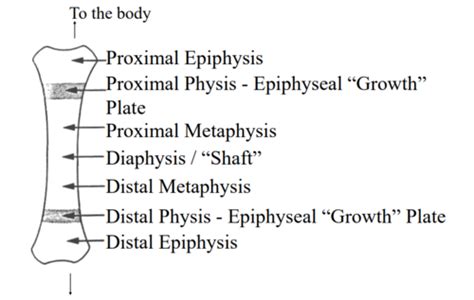 Surgical Fracture Classifications Flashcards Quizlet
