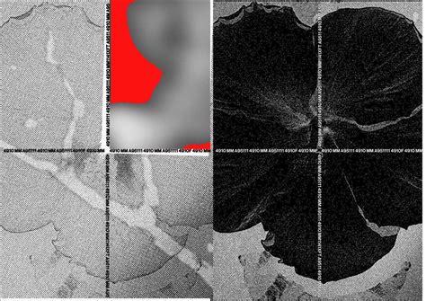 Graphic Designer Alyar Aynetchis Portfolio Is Stark And Confronting