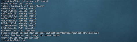 Docker 06 安装部署tomcat Houhuilin 博客园