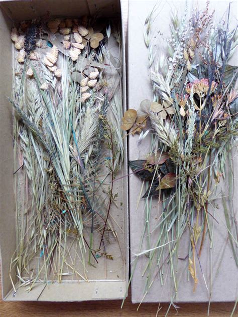 Mycamerandme365 Grass Printing