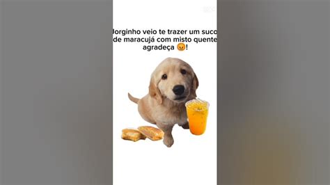 Agradeço Joninho😡 Youtube