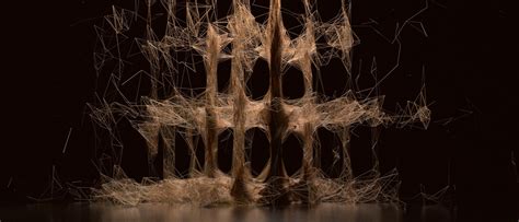 Lattice Form — Brian Drucker