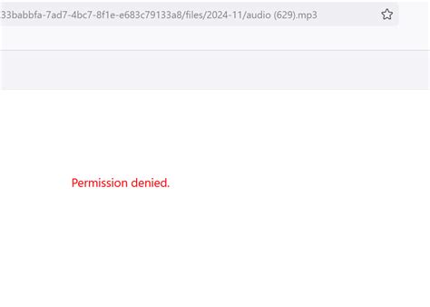 Issue With Public Access To Audio Files On Seatable Hosted User Talk Seatable Forum