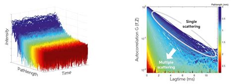 Sr Dls Without Flow Analytik Ltd