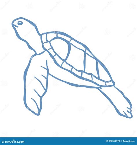 Sea Turtle Vector Drawing Icon 250565131