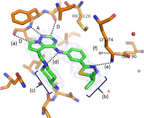 X Ray Co Crystal Structure Of 2 Bound To Aak1 Pdb Id 8gmc A