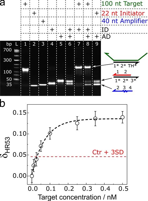 Amplification‐ And Enzyme‐free Magnetic Diagnostics Circuit For Whole