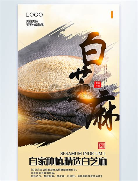白芝麻摄影图海报模板素材 正版图片401862486 摄图网