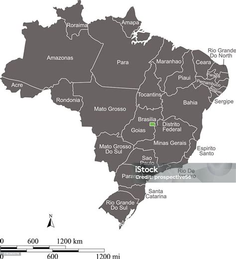 Brazil Map Outline States